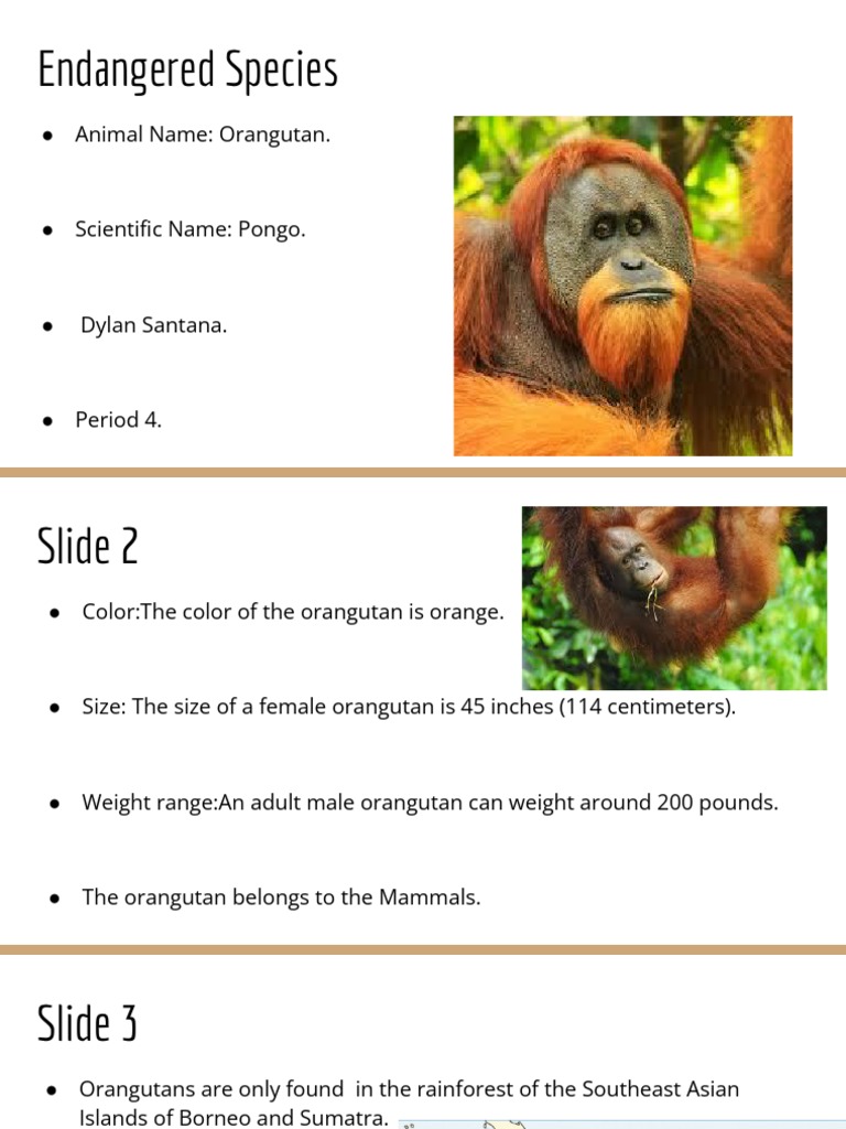 Endangered Species | PDF