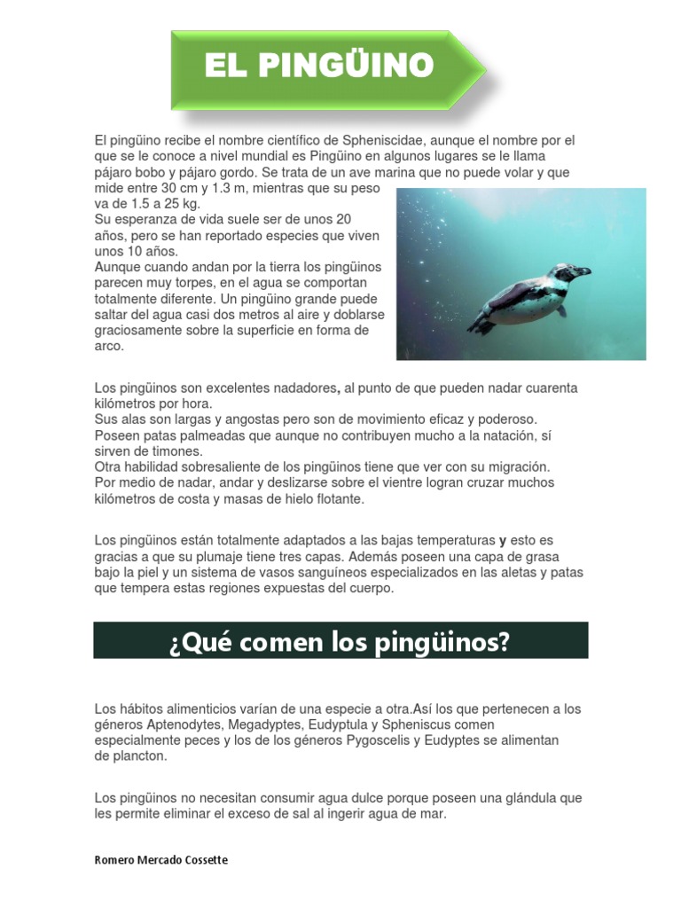 La fascinante vida de los pingüinos | PDF | Pingüino | Ornitología