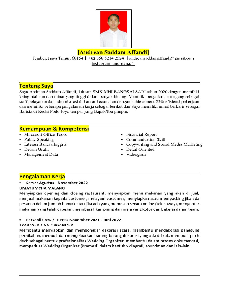 CV Andrean Saddam Affandi | PDF