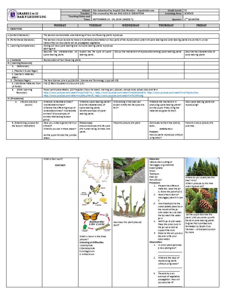 DLL - Science 6 - Q2 - W8 | PDF | Spore | Plants
