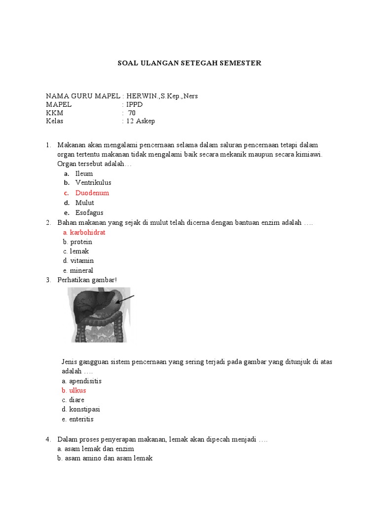 Soal Ippd | PDF | Pengembangan Diri | Kesehatan Holistik