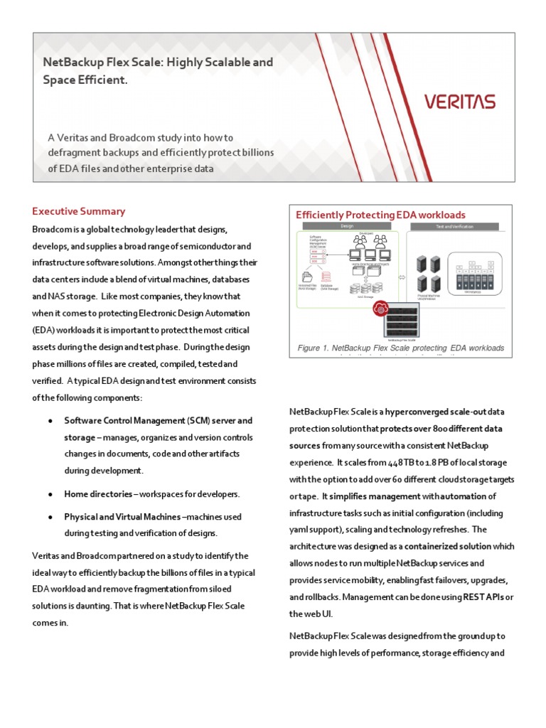 SB Netbackup Flex Scale For Eda Workloads | PDF | Backup | Scalability