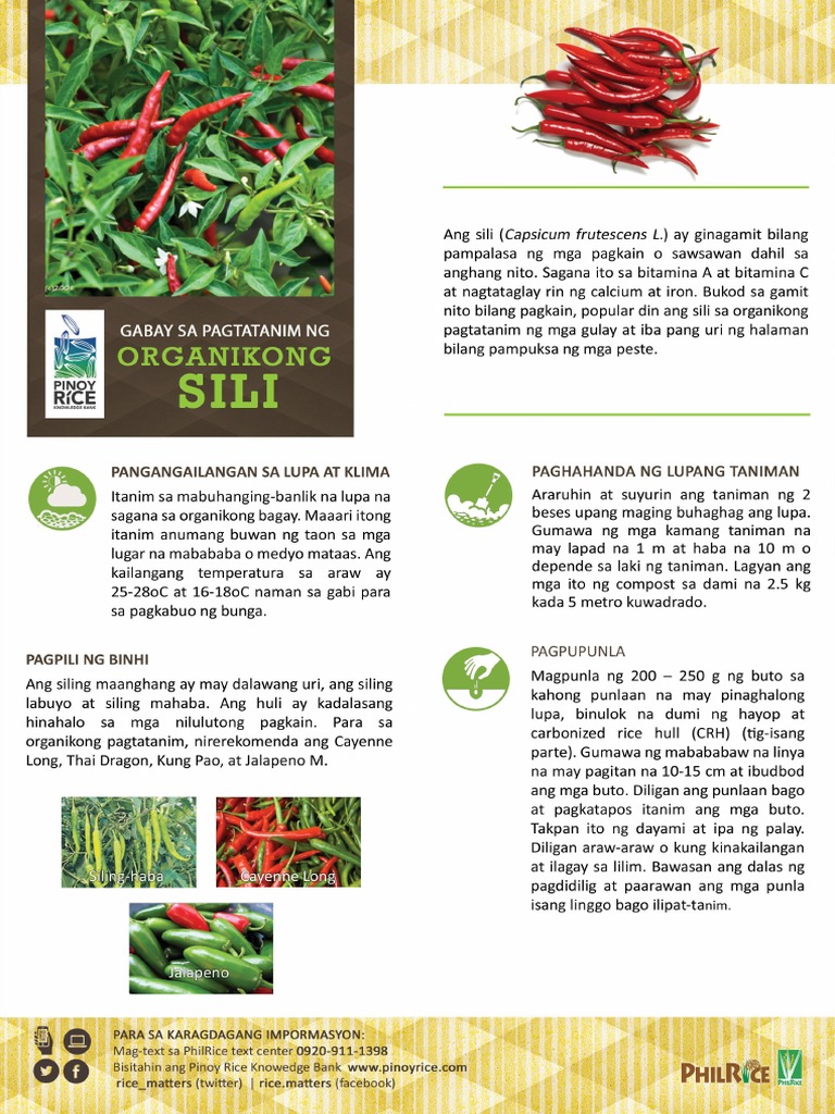 Organikong Sili | PDF