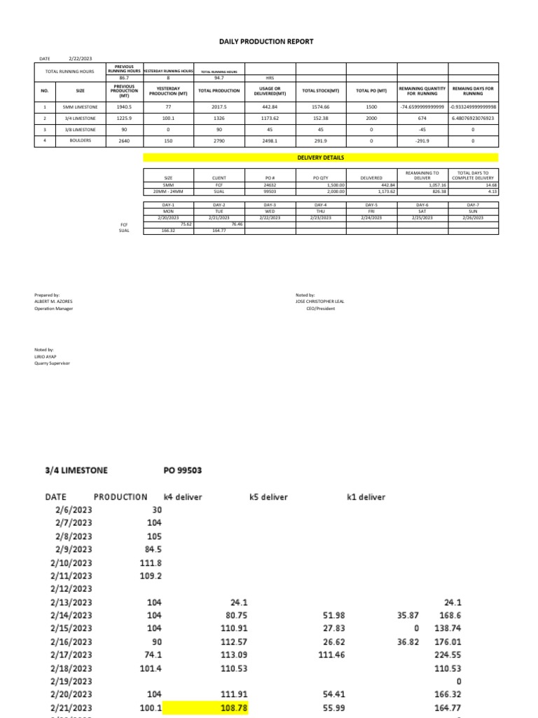 Daily Production Report | PDF