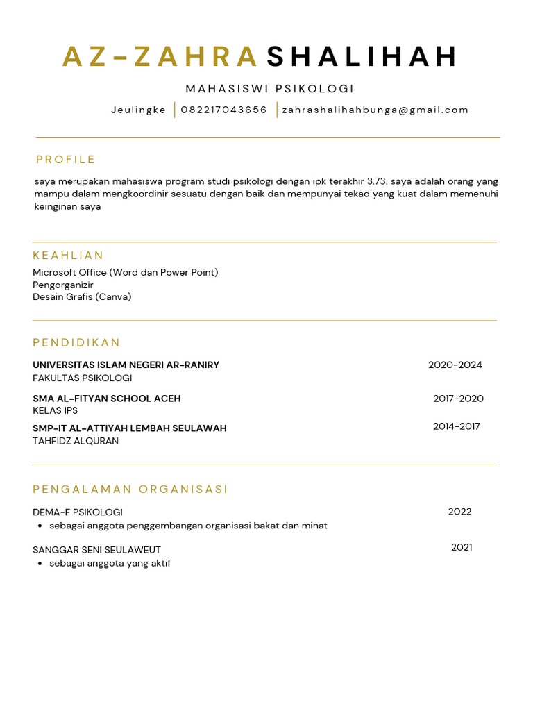 White Gold Elegant Minimalist ATS Data Analyst Resume CV A4 Printable | PDF
