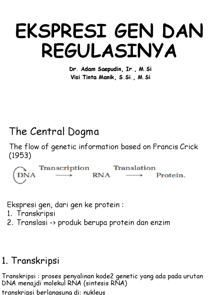 Ekspresi Gen Dan Regulasinya | PDF