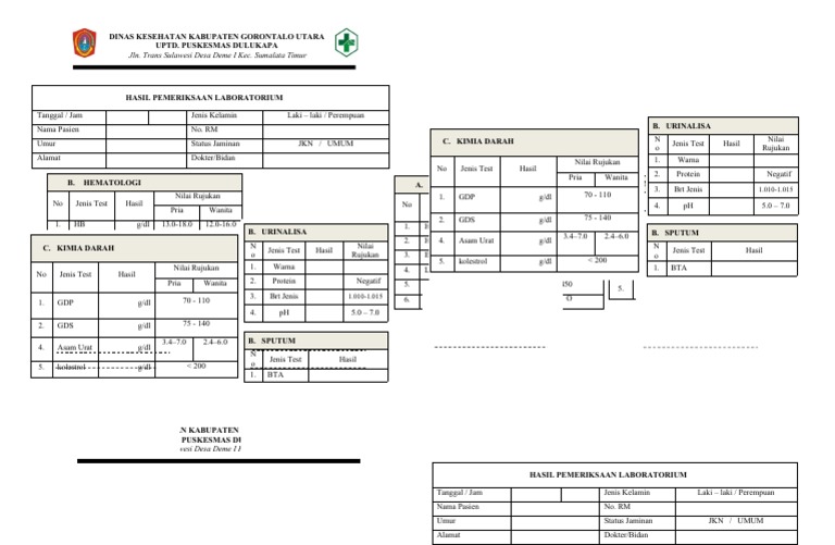 Hasil Pemeriksaan Laboratorium Puskesmas | PDF