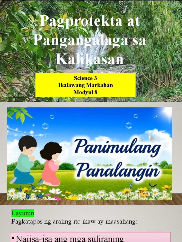 Science 3 Quarter 2 Module 8 Pagprotekta at Pangangalaga Sa Kalikasan | PDF