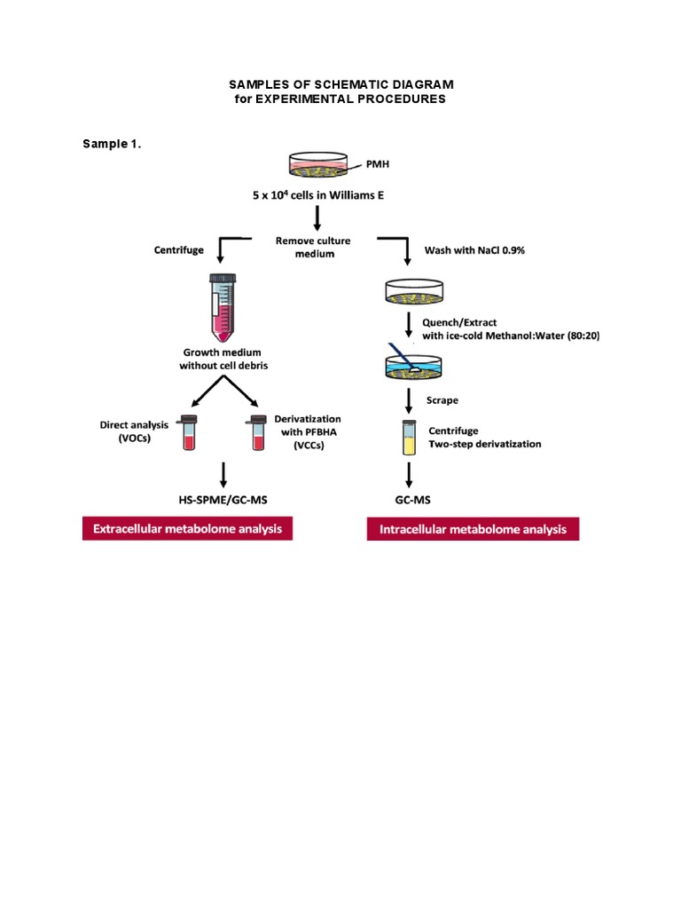 Samples of Schematic Diagram For Experimental Procedures | PDF