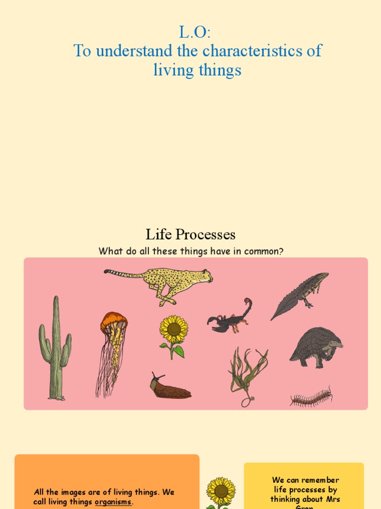 Life Processes Pdf Plants Water