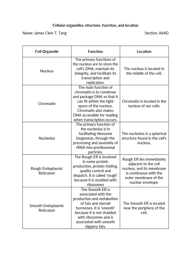 Mod02a Activity-Cell Structure & Function | PDF | Cell (Biology ...