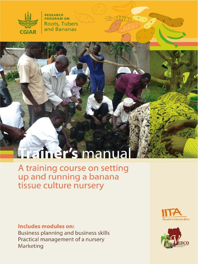 Trainers Manual A Training Course On Setting Up and Running A Banana ...