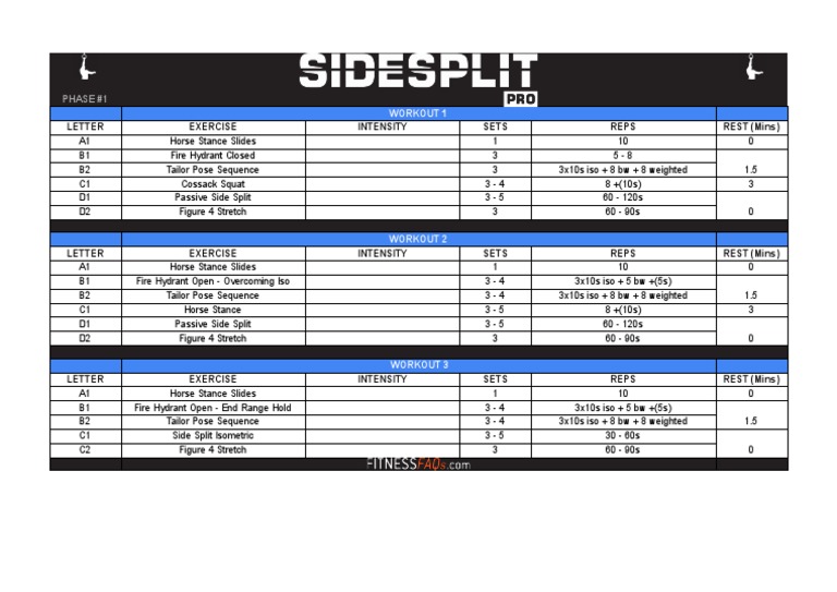 Side Split Pro - Phase #1 | PDF