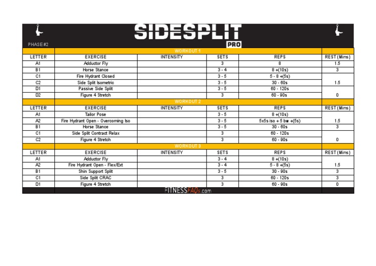 Side Split Pro - Phase #2 | PDF