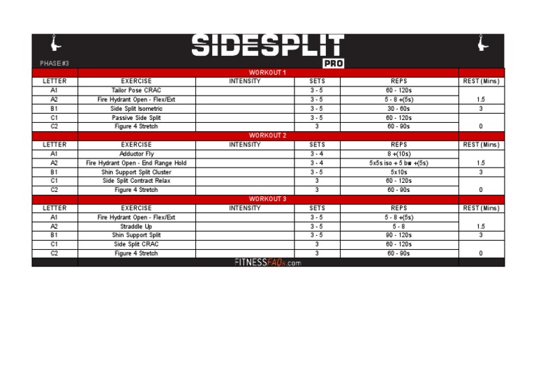 Side Split Pro - Phase #3 | PDF