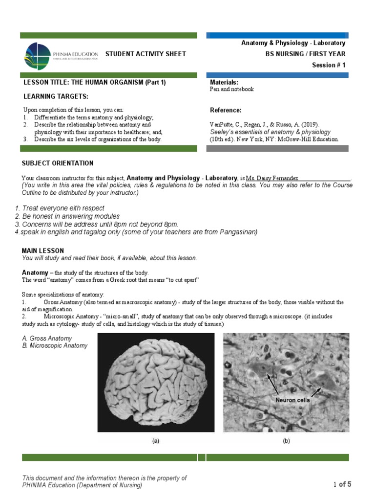 Session #1 SAS - AnaPhy (Lab) | PDF | Heart | Human Body