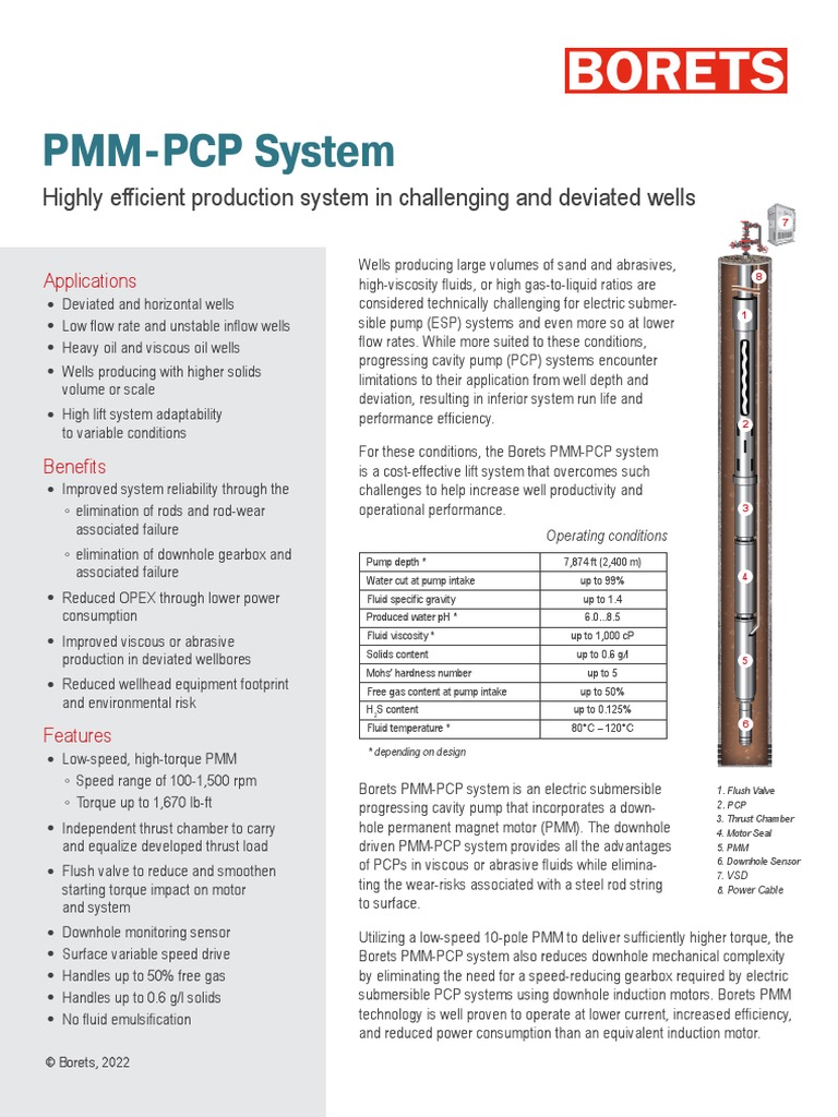 PMM PCP System | PDF | Pump | Electric Motor