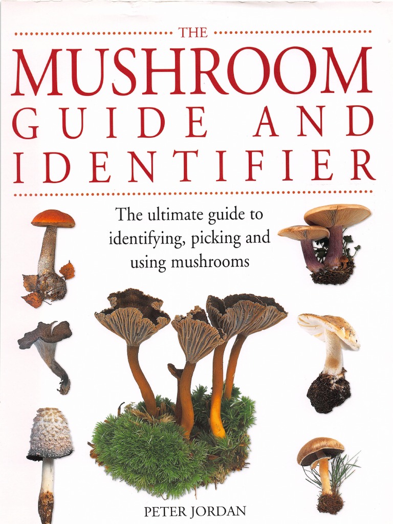 The Mushroom Guide and Identifier The Ultimate Guide To Identifying ...