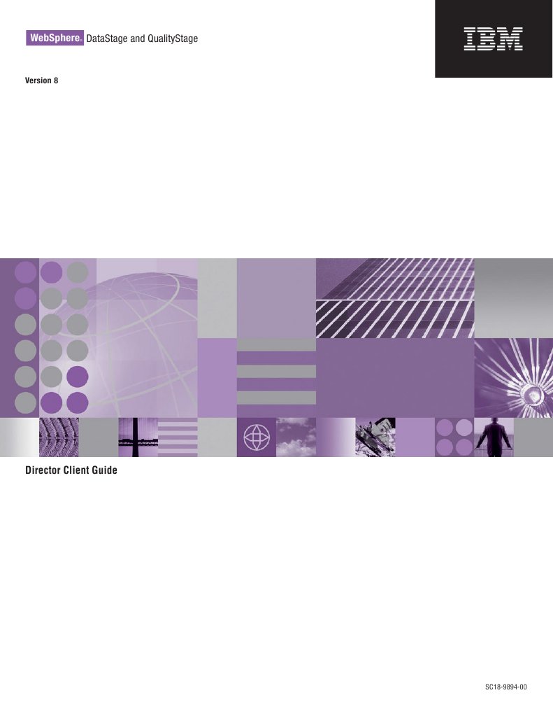 Data Stage Run Director | PDF | Menu (Computing) | Parameter (Computer Programming)