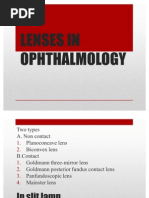 Fundus Diagram Drawing Guide | PDF | Retina | Human Eye