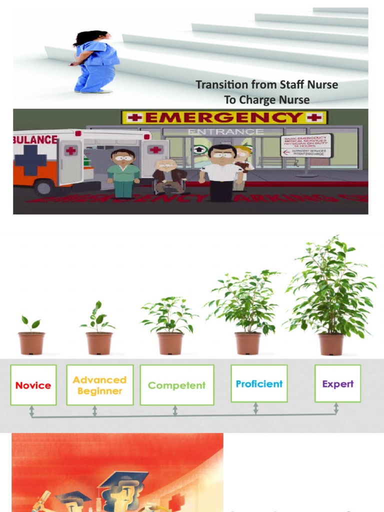 Charge Nurse | PDF | Nursing | Patient