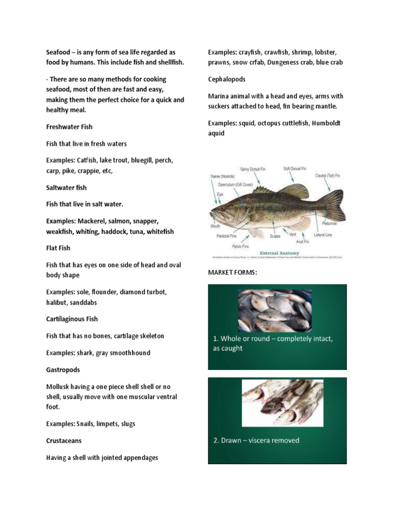 Quick & Easy Seafood Cooking Guide | PDF | Social Science