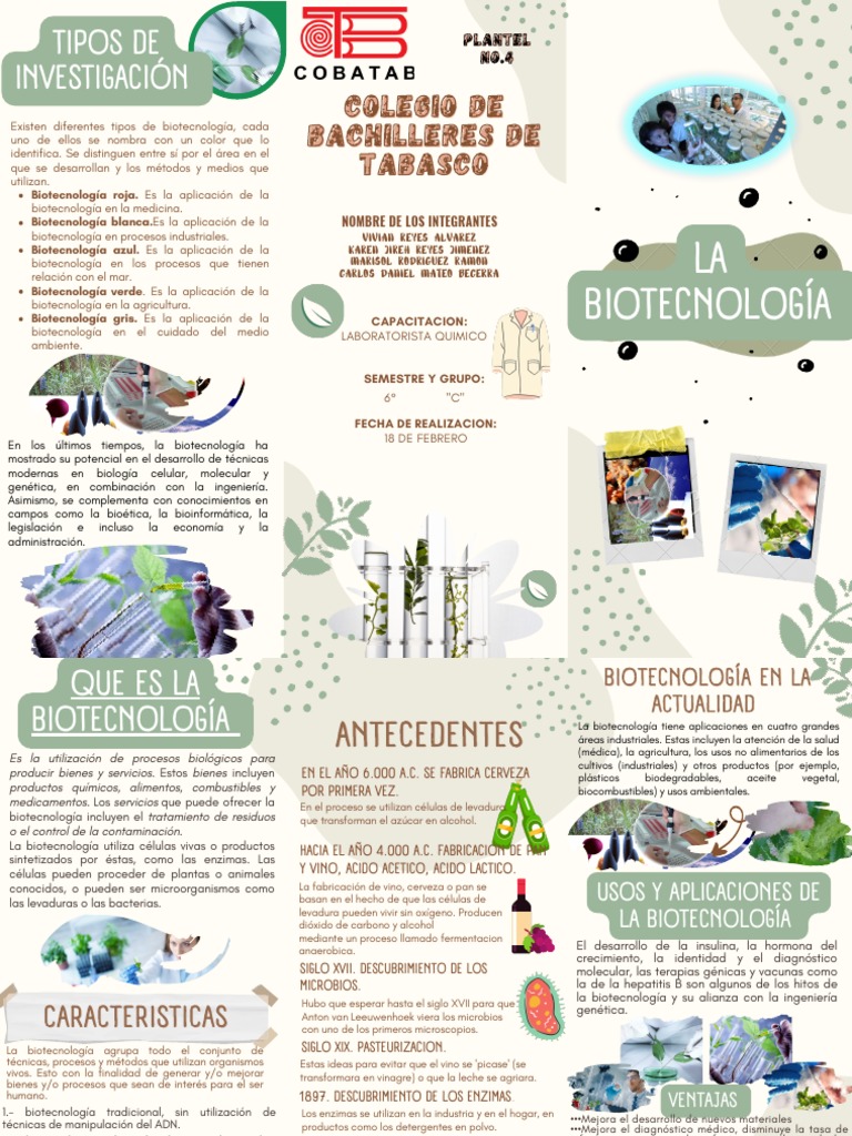 Folleto Tríptico Guía Campaña sobre Ecología y Sostenibilidad ... Folleto Tríptico Guía Campaña sobre Ecología y Sostenibilidad ...