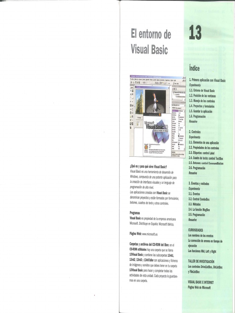 Llibre Visual Basic | PDF