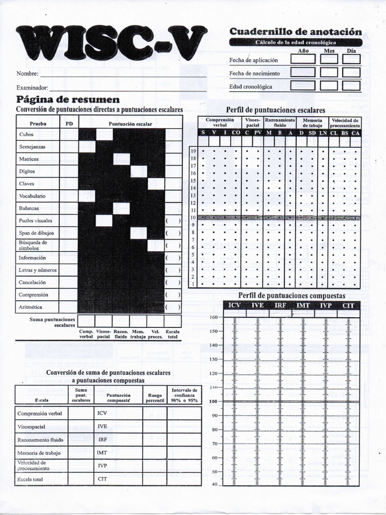 Protocolo Wisc V | PDF