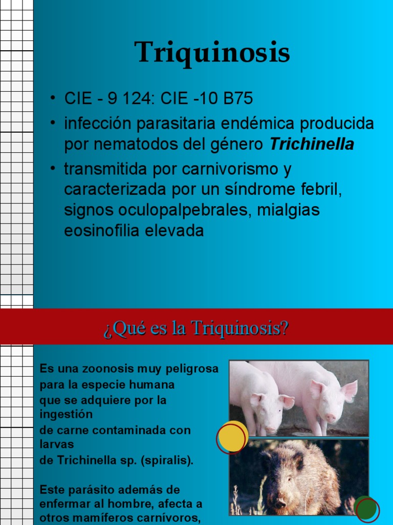 Triquinosis: Síntomas y Tratamiento | PDF | Especialidades Medicas ...