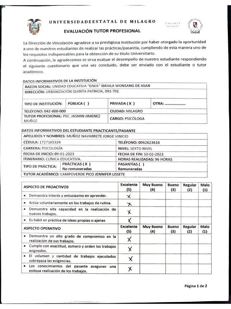 Evaluación Tutor Profesional | PDF