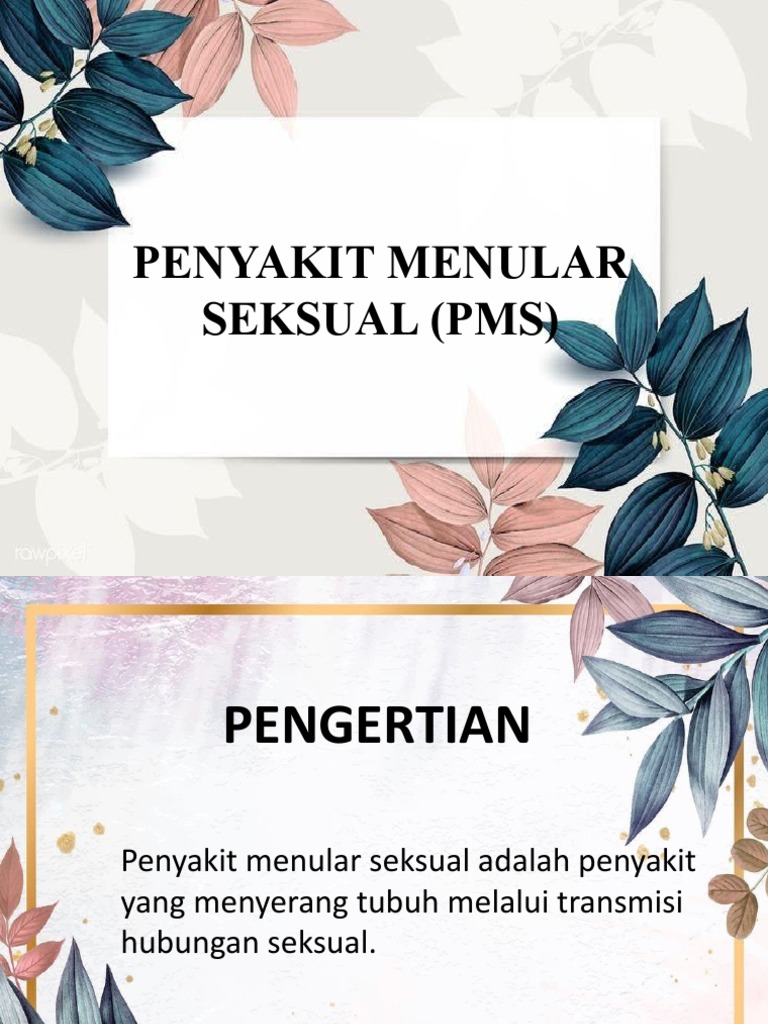 Penyakit Menular Seksual (PMS) | PDF