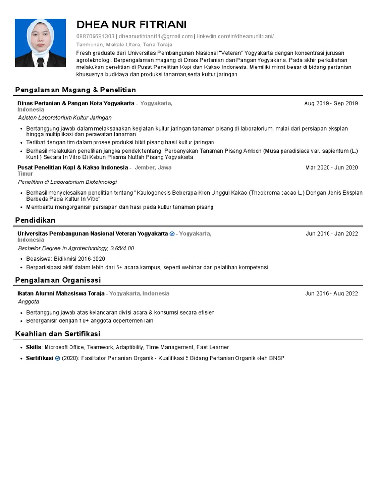 DHEA NUR FITRIANI CV - Compressed | PDF