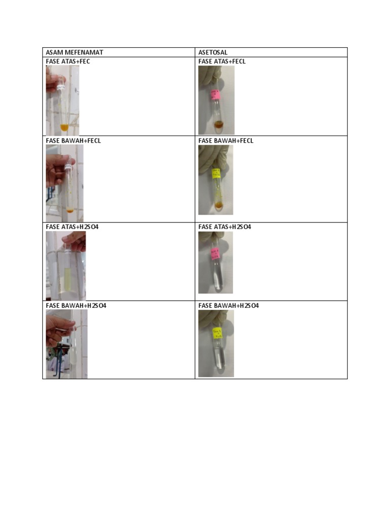 Kimia Asetosal Asmef | PDF