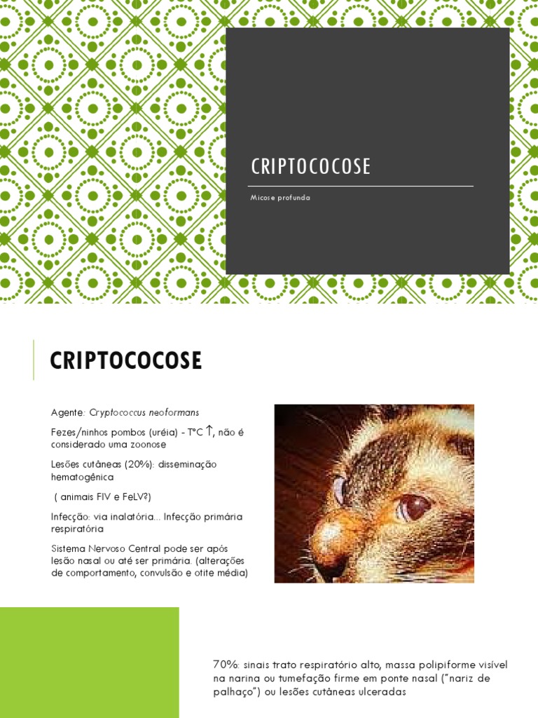Criptococose em Felinos: Guia Técnico | PDF
