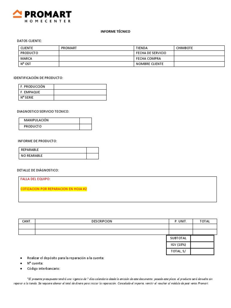 Informe Tecnico Modelo | PDF