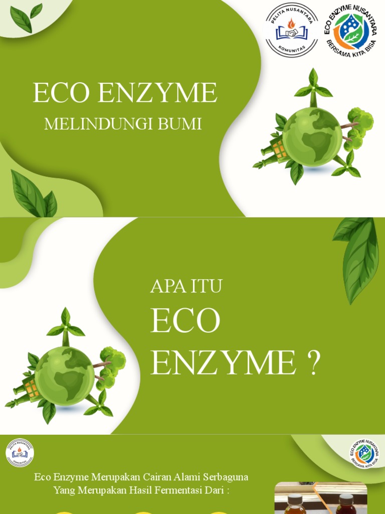 Eco Enzyme | PDF