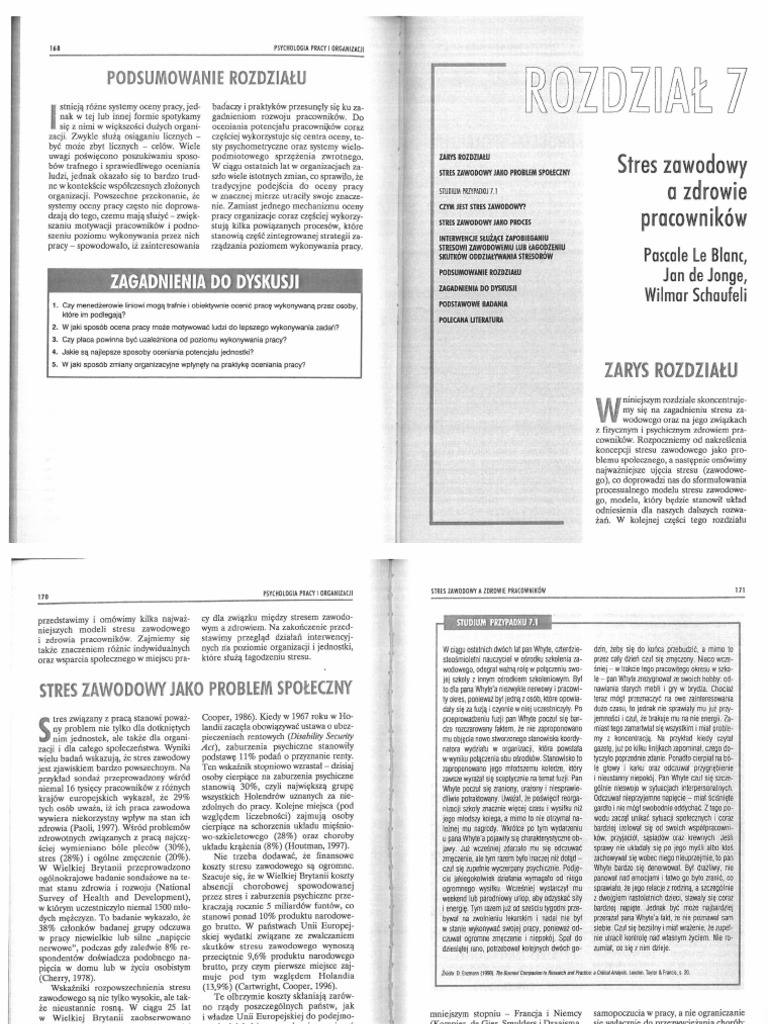 Stres Zawodowy | PDF