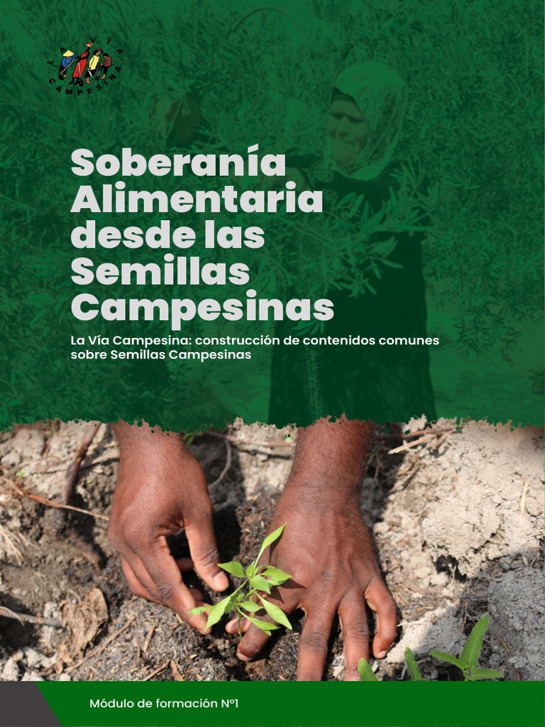 Soberanía Alimentaria y Semillas Campesinas | PDF | Agricultura | Campesino