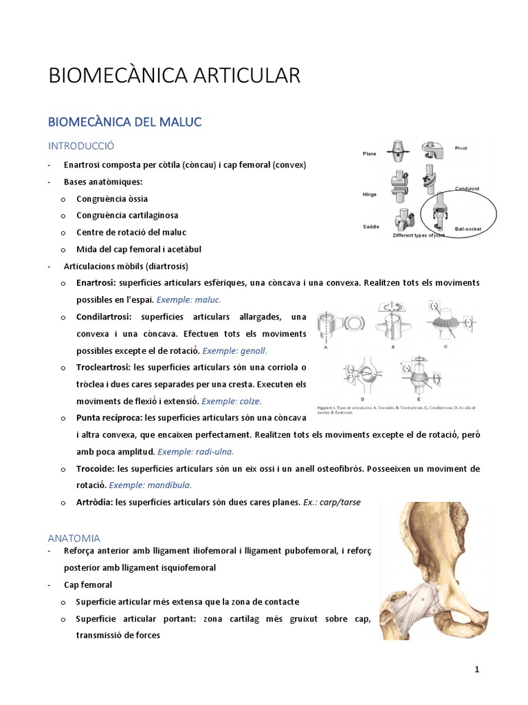 BIOMECÀNICA ARTICULAR | PDF