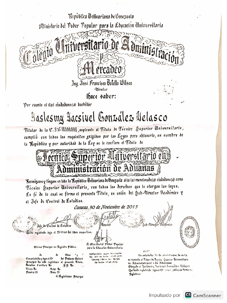 Titulo Tsu | PDF