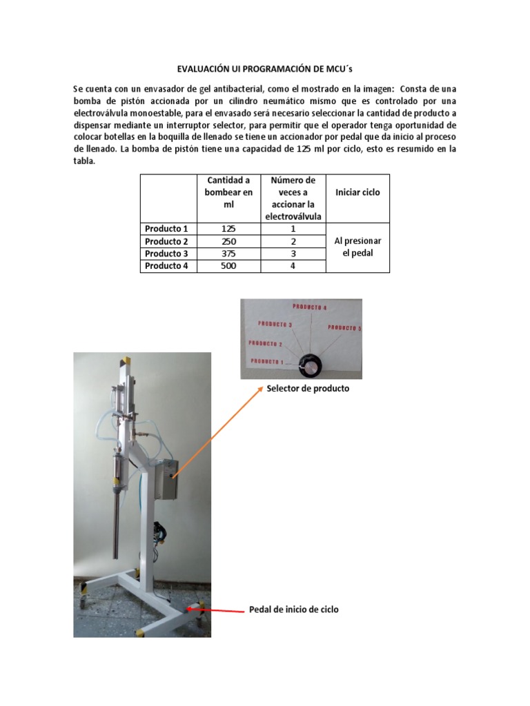Evaluación Ui Programación de Mcu | PDF