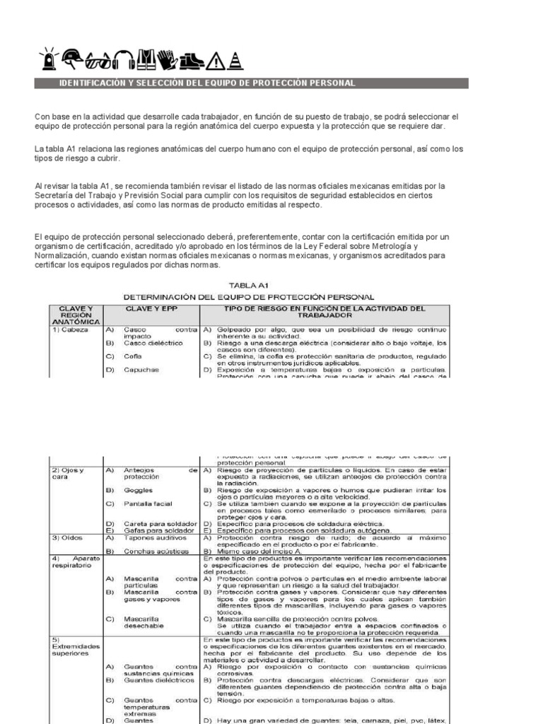 Guía de Selección de EPP por Puesto | PDF
