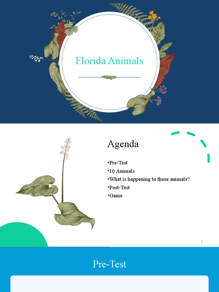 Florida Animals Tropical Presentation | PDF | Predation | Organisms