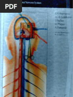 Optic Foramen Radiographic Overview | PDF