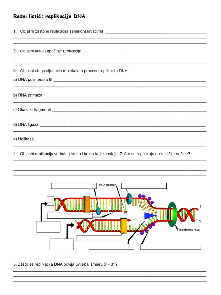 Radni Listić Replikacija | PDF