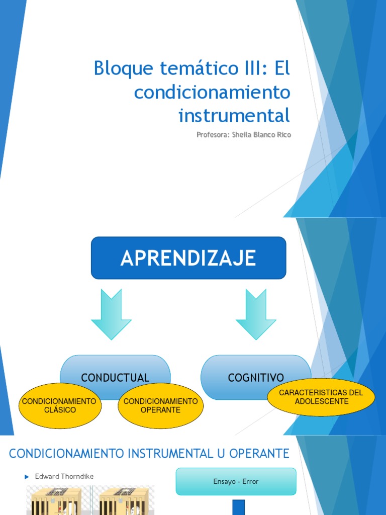 Bloque TemÃ¡Tico III CO 2 | PDF | Reforzamiento | Teoria de la mente