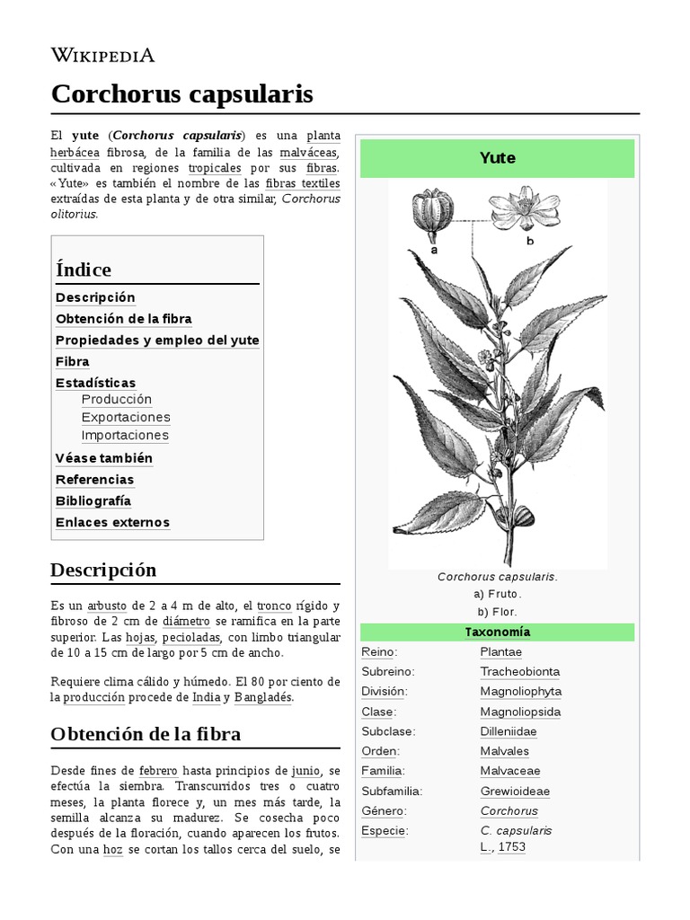 Corchorus Capsularis | PDF | Fibras | Textiles