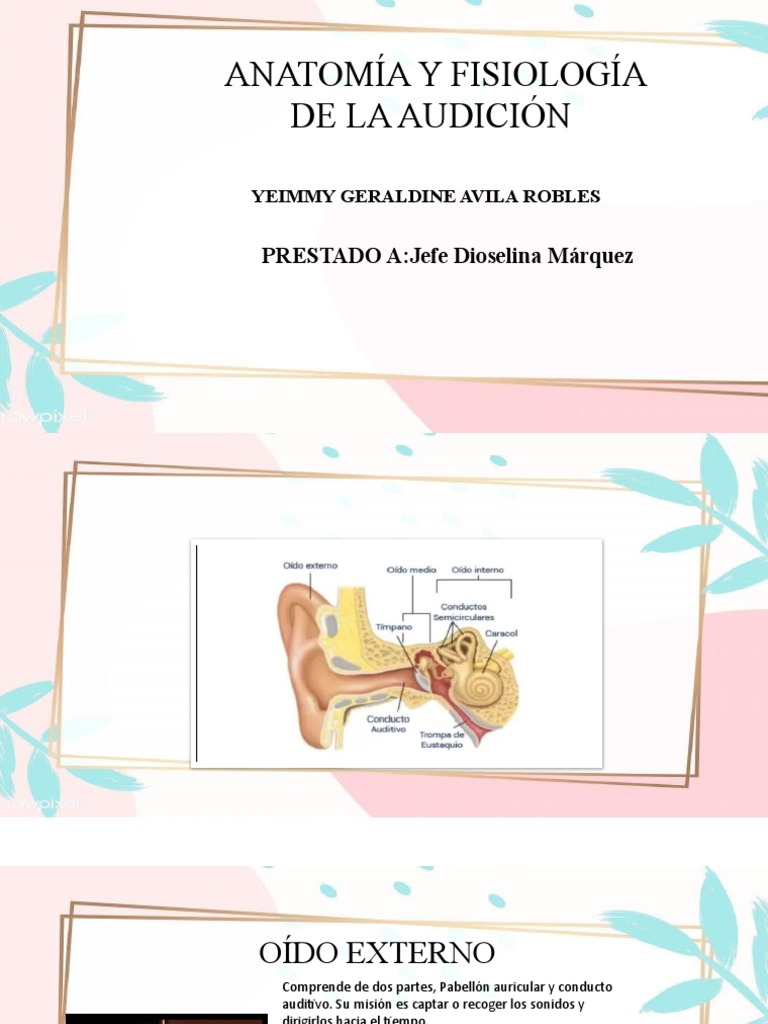 Anatomía y Fisiología de La Audición | PDF | Oído | Órganos sensoriales