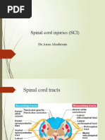 Pyramidal vs Extrapyramidal Tracts | PDF | Neuroscience | Neuroanatomy